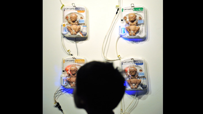 Maison des arts de Créteil - Création - Genpets